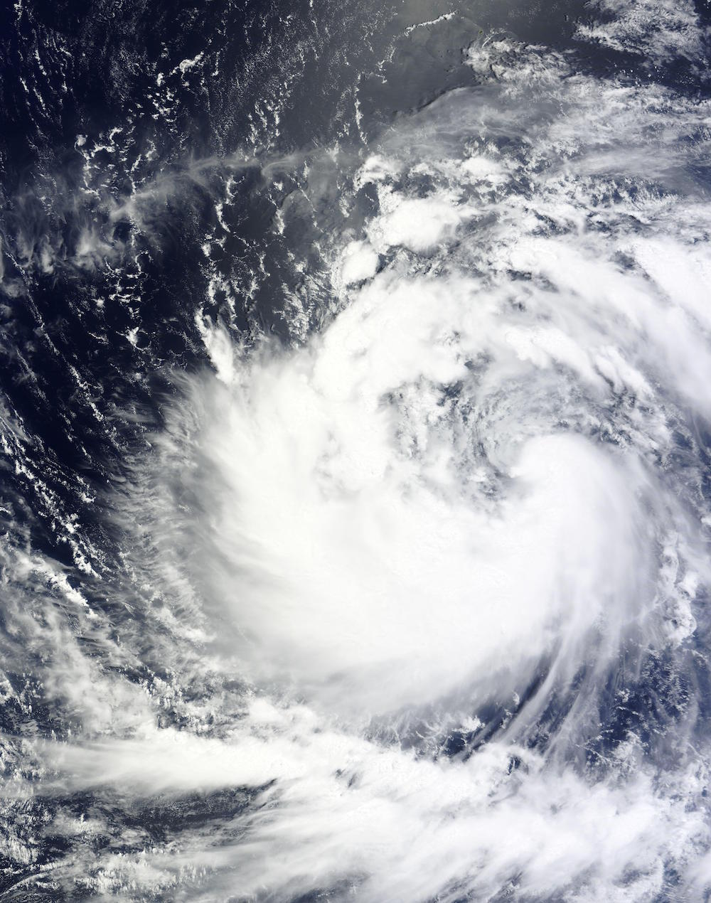 Typhoon Chan-hom claims predicted at US$350m
