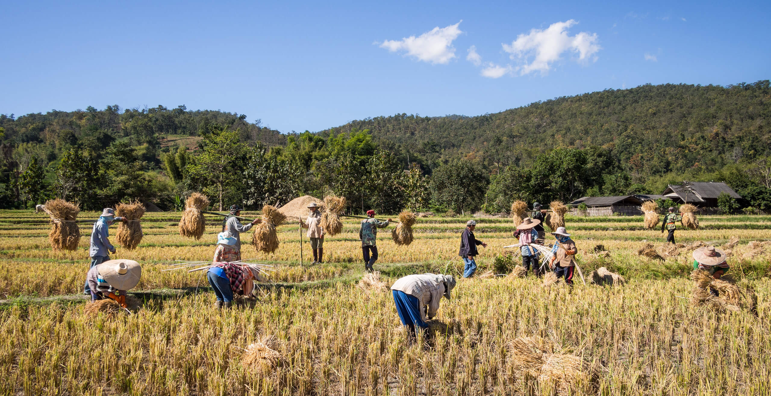 Thailand's government agrees drought relief