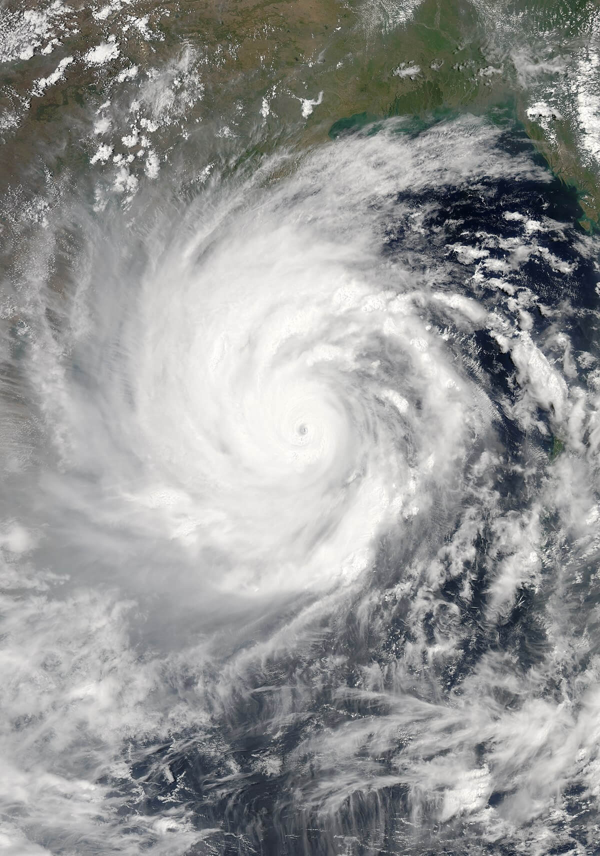 East Asia summer cyclone activity to be 'above normal': Guy Carpenter