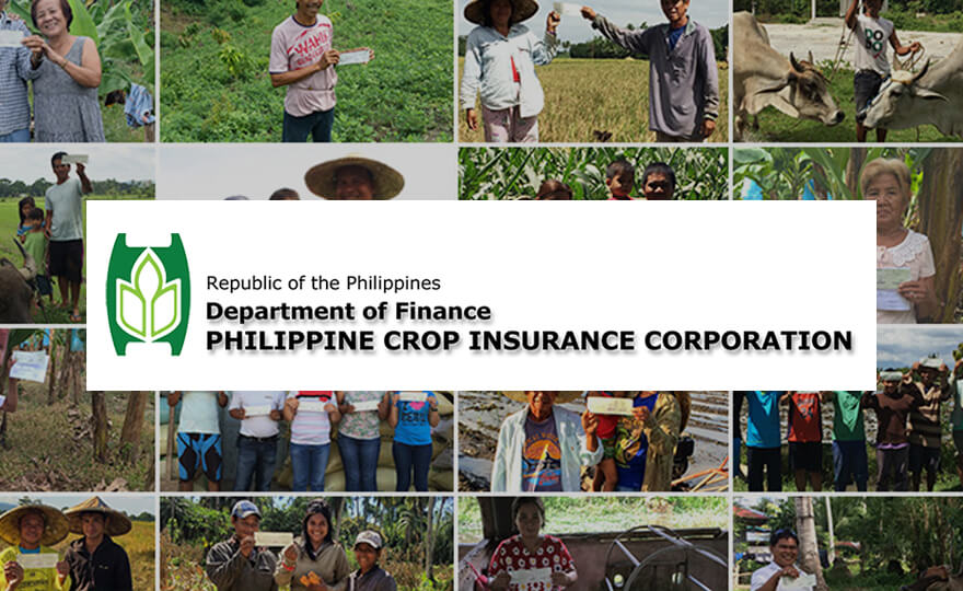 Philippine Crop Insurance placed under close regulatory supervision