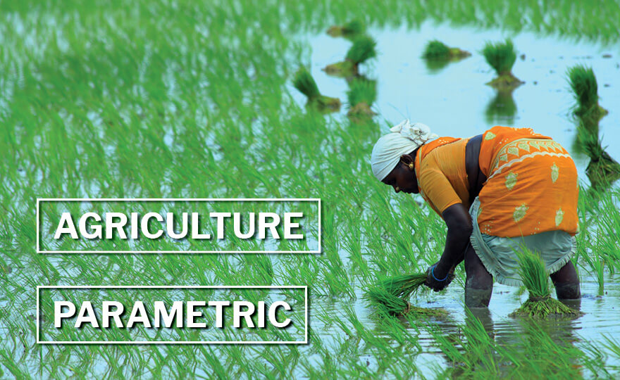 India eyes parametric alternatives for crop insurance scheme