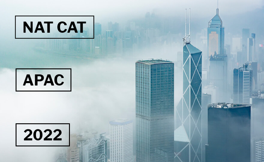 Asia Pacific nat cats: the year in review