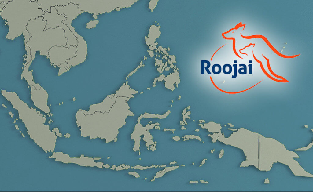 Roojai’s South-East Asia M&A play to see GWP double