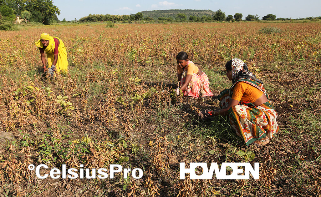 CelsiusPro launches parametric climate risk insurance for Indian women ...