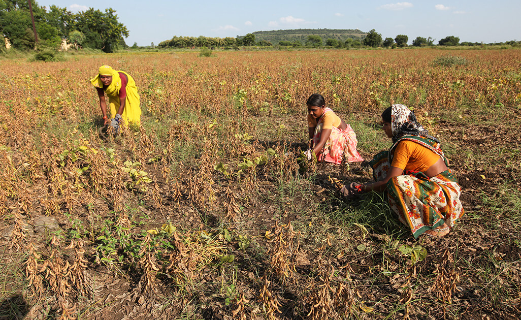 Extreme heat triggers parametric payout for 50,000 women in India