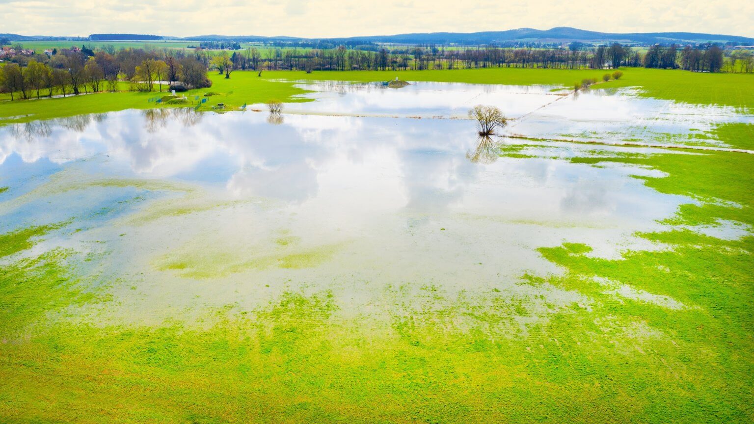 Indonesia boosts crop insurance to maintain rice production: report