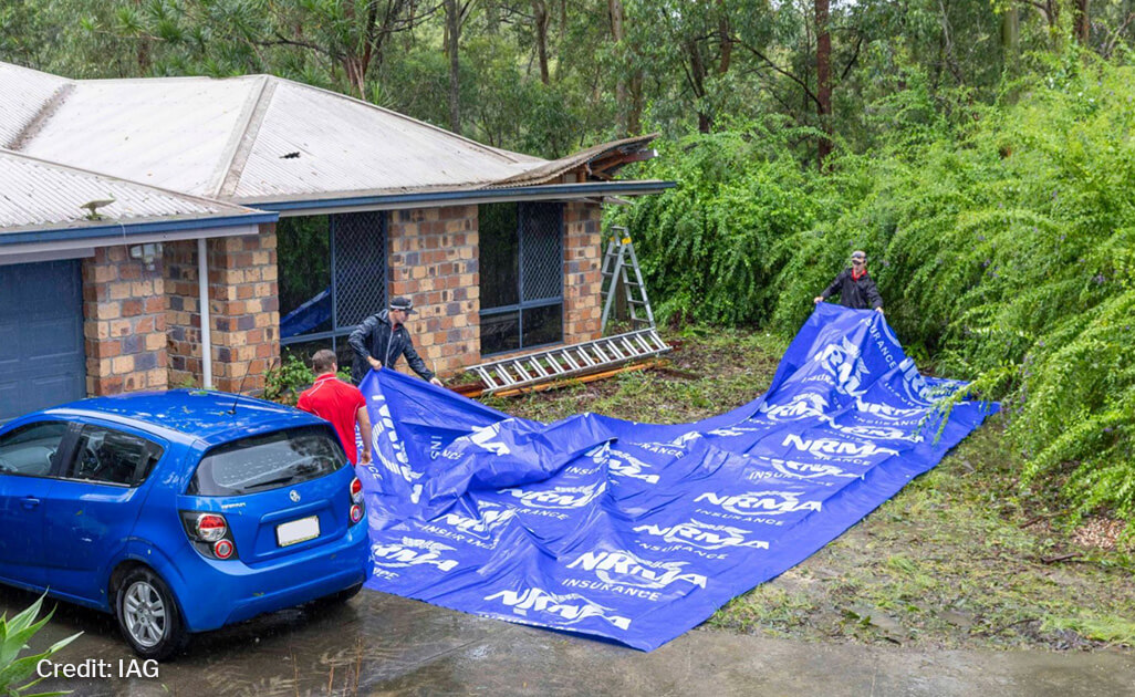 Cyclone Alfred claims top 74,000, insurer extends pet coverage