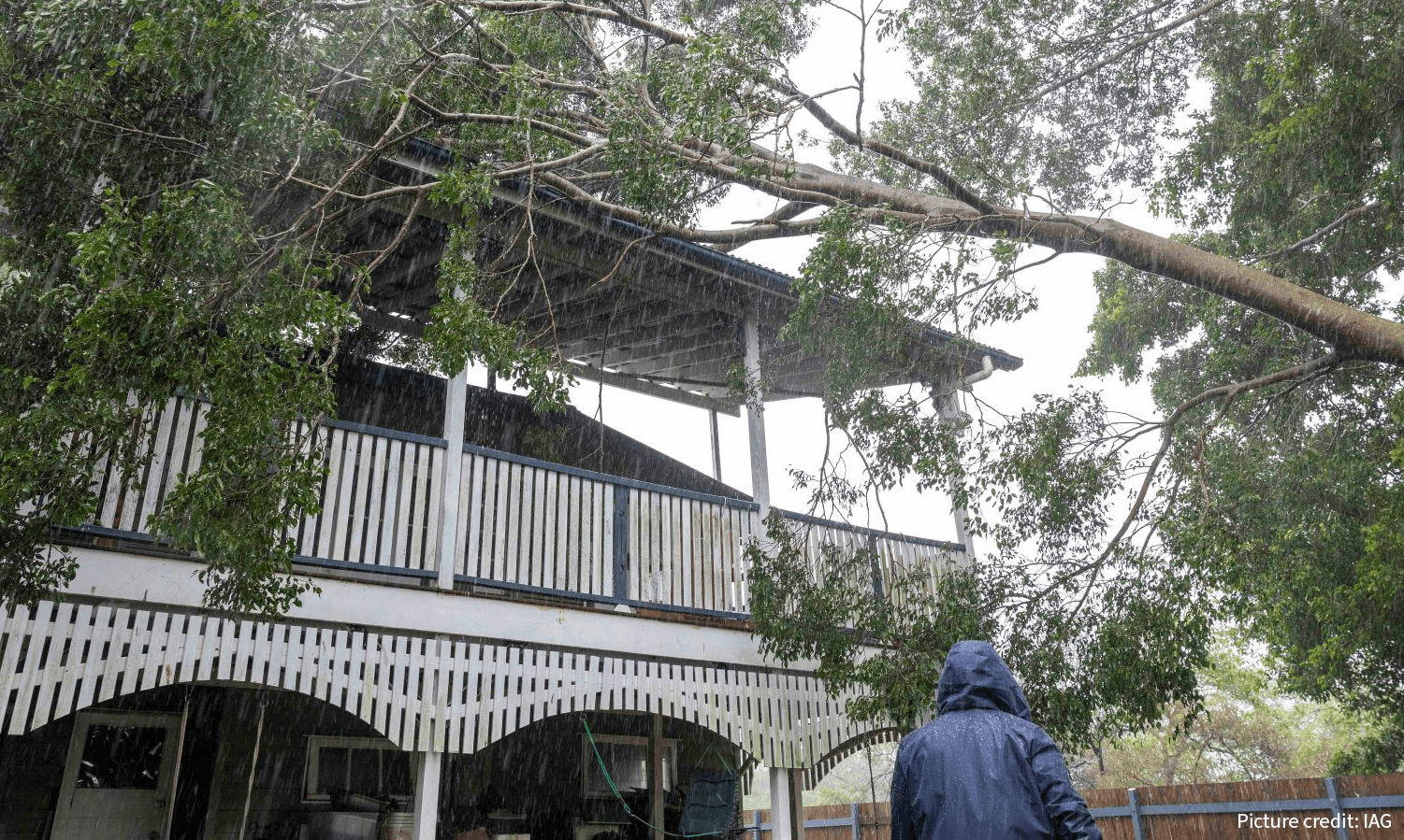Cyclone Alfred claims top 3,000, thousands more expected in coming days