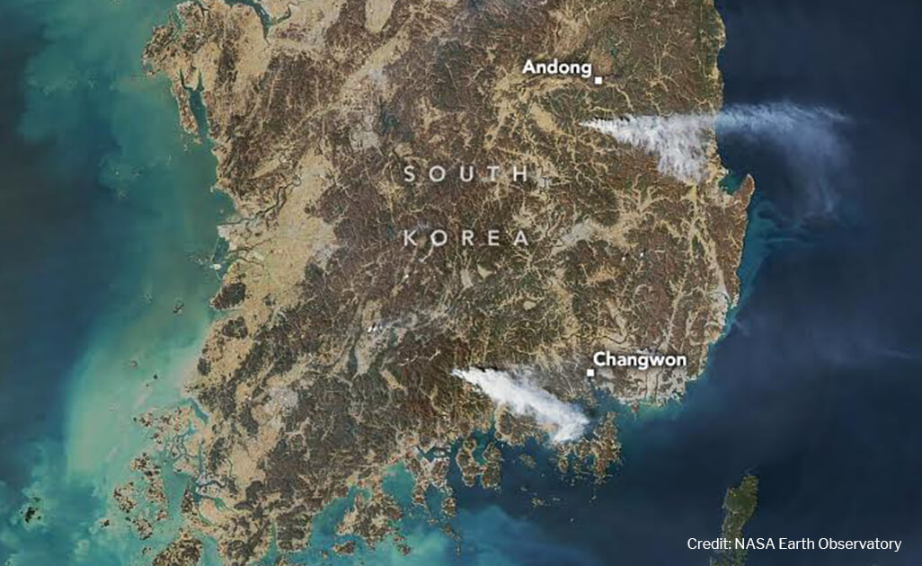 South Korea wildfire claims to 'pour in', Japan to see minimum insured ...