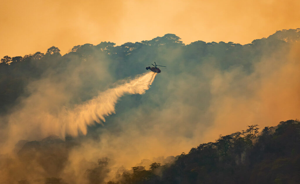 With wildfires becoming more intense, damaging and frequent, insurers ...