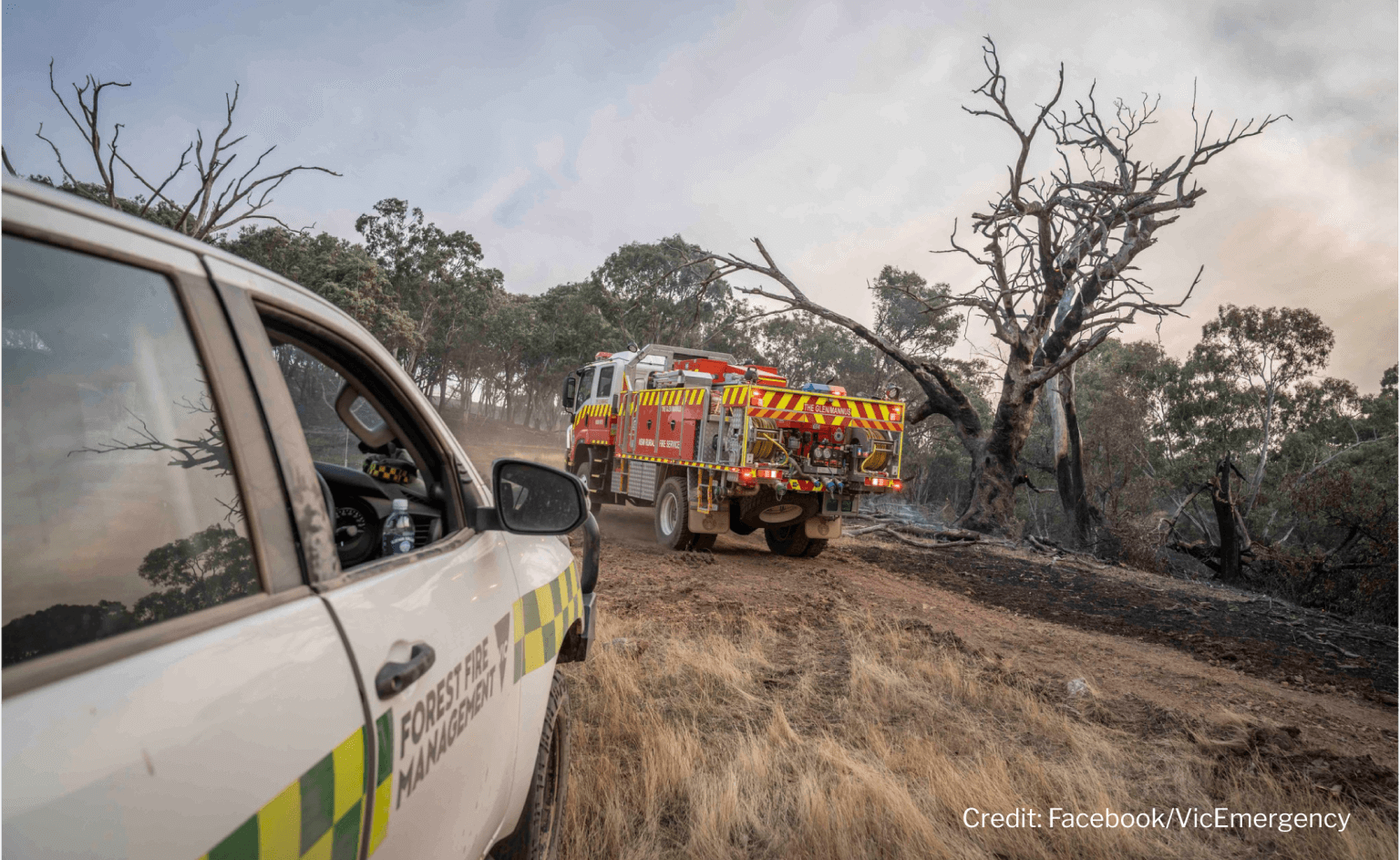 Victoria bushfires losses rise with 350 buildings destroyed, 15,000 ...