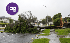 New Zealand hit by storm every 8 days as wild weather fuels 256% jump ...