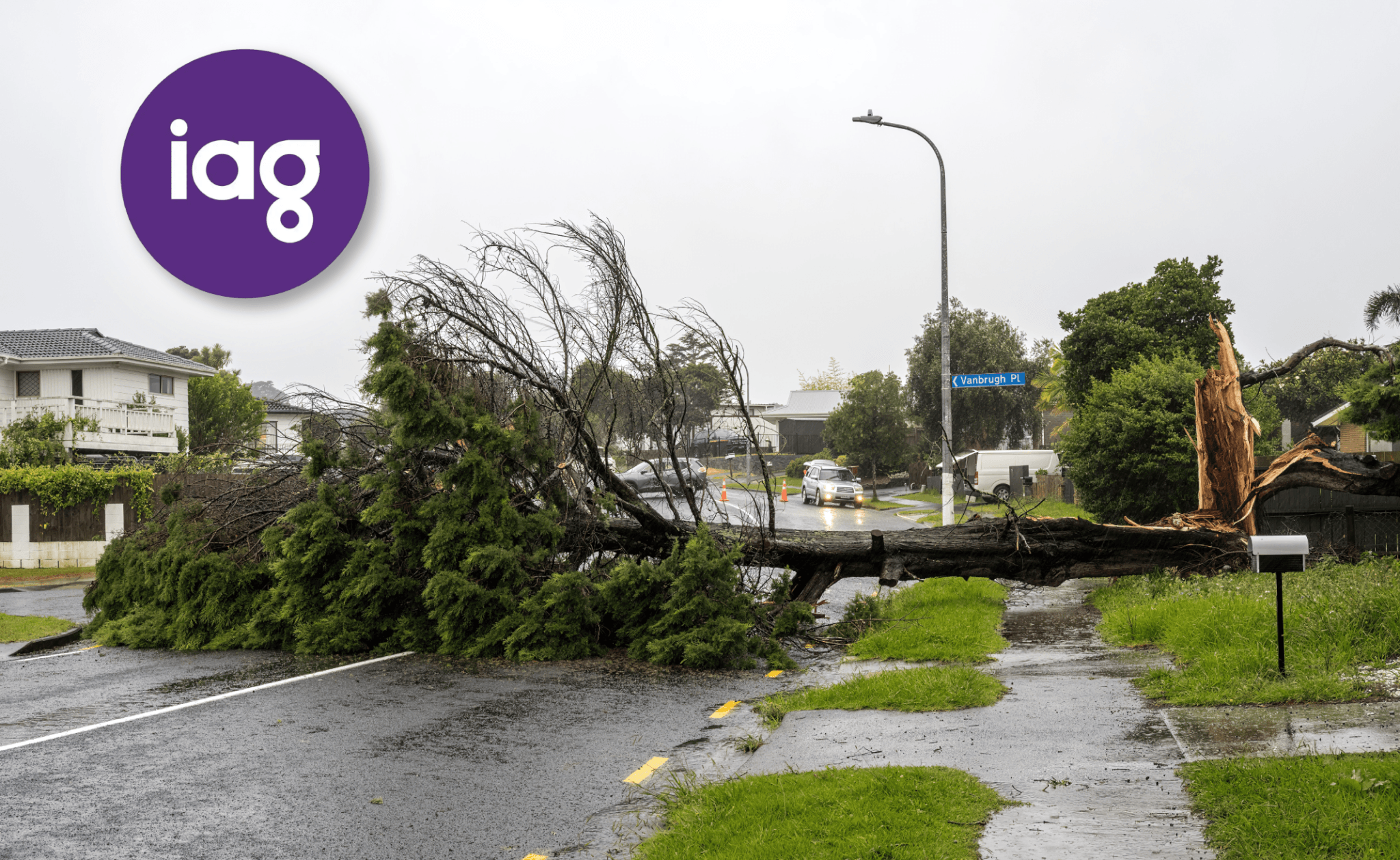 New Zealand hit by storm every 8 days as wild weather fuels 256% jump ...